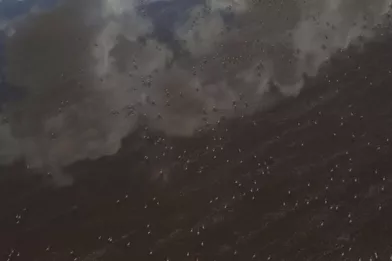 Le deuxième plus grand lac de Bolivie - Le lac Poopo est en train de ...