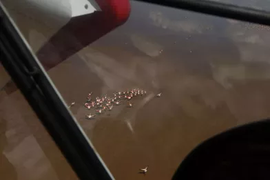 Le deuxième plus grand lac de Bolivie - Le lac Poopo est en train de ...