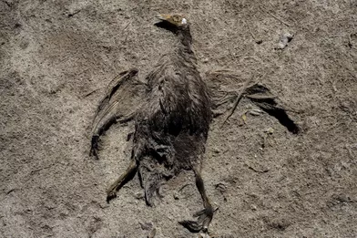 Le deuxième plus grand lac de Bolivie - Le lac Poopo est en train de ...