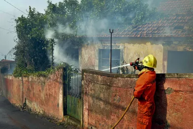Portugal : L’île de Madère ravagée par les flammes
