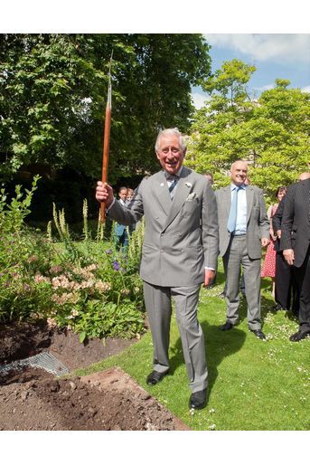 Camilla et Angelina Jolie, les dames de coeur
