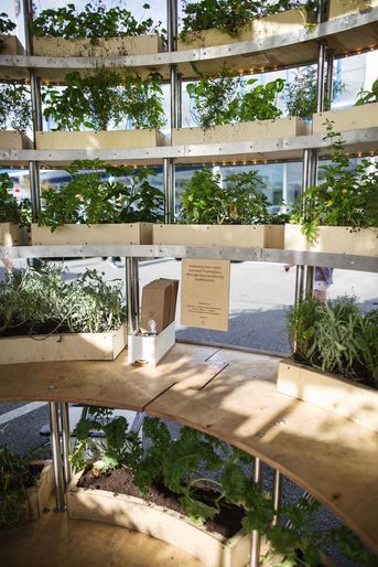 "The Growroom", le potager intelligent qui veut réinventer l ...