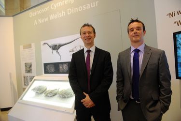 Pays de Galles - Le cousin du T-Rex a été découvert
