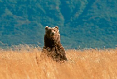 Voyager pour préserver - Tourisme utile