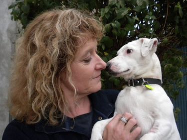 Empoisonné, enterré vivant, le chien Ethan est un miraculé