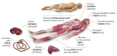 Christopher Sakezles, l’homme qui fabrique des humains synthétiques