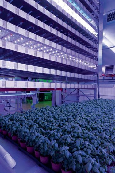 La plus grande ferme verticale de France