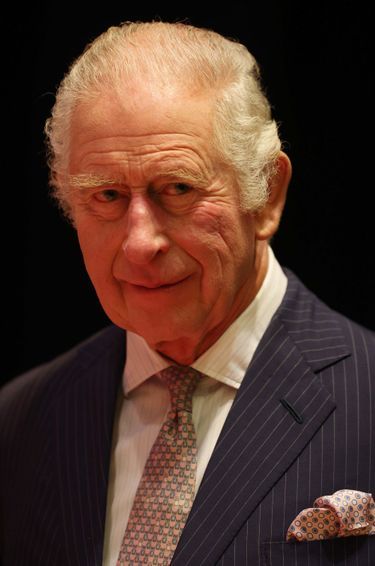 Royales cravates, Carl XVI Gustaf opte pour des dindons, Charles III ...