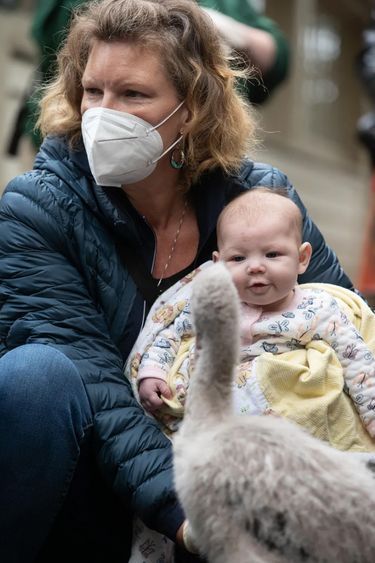 L’adorable histoire d’une hôtesse de l’air qui a sauvé 6 œufs de ...