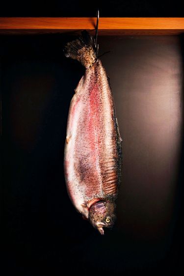 Marie-Victoire et Arthur Viot, inventeurs du poisson frais... sans glace