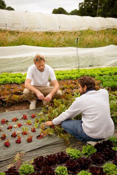 Une ferme du Perche : reportage dans la nouvelle école du bio