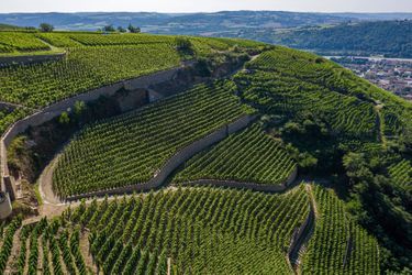 Vins - Guigal : Game of Rhône