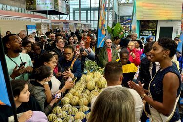 Angélique Angarni-Filopon, Miss France à retardement
