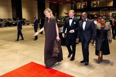 Willem-Alexander et Maxima des Pays-Bas complices parmi les girafes et ...
