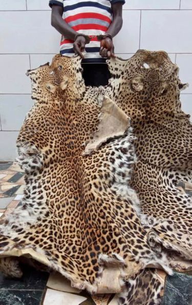 Ofir Drori : « Une nouvelle génération d’activistes africains a émergé ...