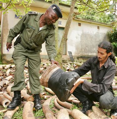 Ofir Drori : « Une nouvelle génération d’activistes africains a émergé ...
