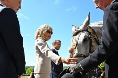 Quand Emmanuel et Brigitte Macron retrouvent Fabuleu de Marcour, en ...