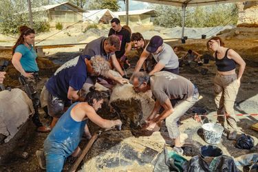 L'incroyable dinosaure d'Angeac-Charente