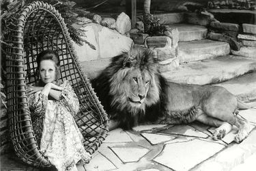 À 96 ans, Tippi Hedren vit-elle toujours avec ses lions et ses tigres