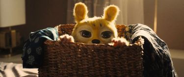 « J’étais le timide au fond de la classe, j’ai eu ma première copine à ...