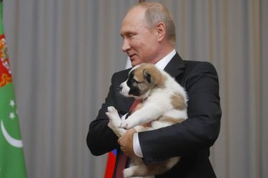 Un chiot en guise de cadeau diplomatique pour Vladimir Poutine