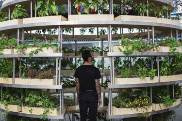 "The Growroom", le potager intelligent qui veut réinventer l ...