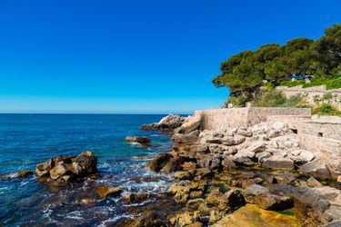 Les Iles Paul Ricard, terres d’un amoureux de la nature - Proposé par ...