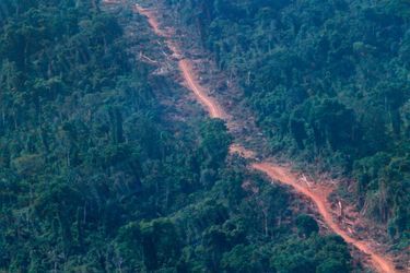 Amazonie, la route sans issue