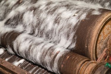 La laine végétale : du cachemire végan