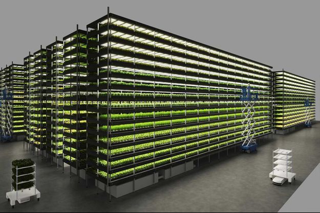Une des plus grandes fermes verticales d'Europe ouvre ses portes au ...