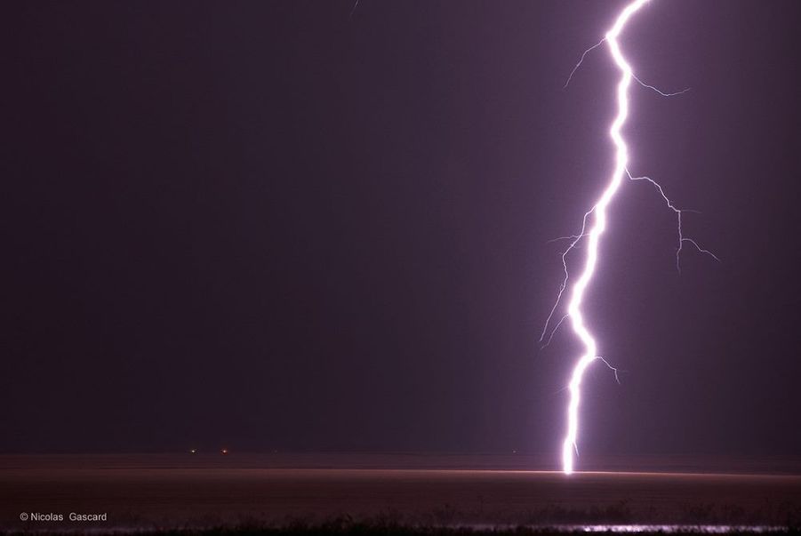 Nicolas Gascard - Fou de foudre
