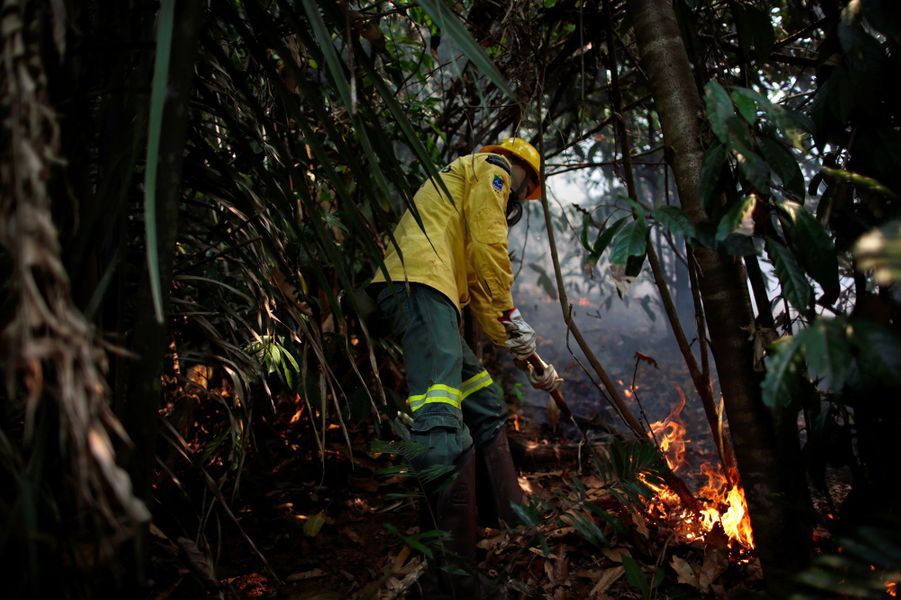Au cœur des incendies qui ravagent la forêt amazonienne