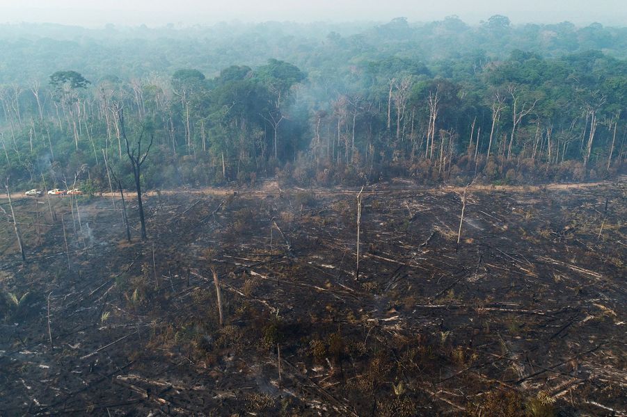 Au cœur des incendies qui ravagent la forêt amazonienne