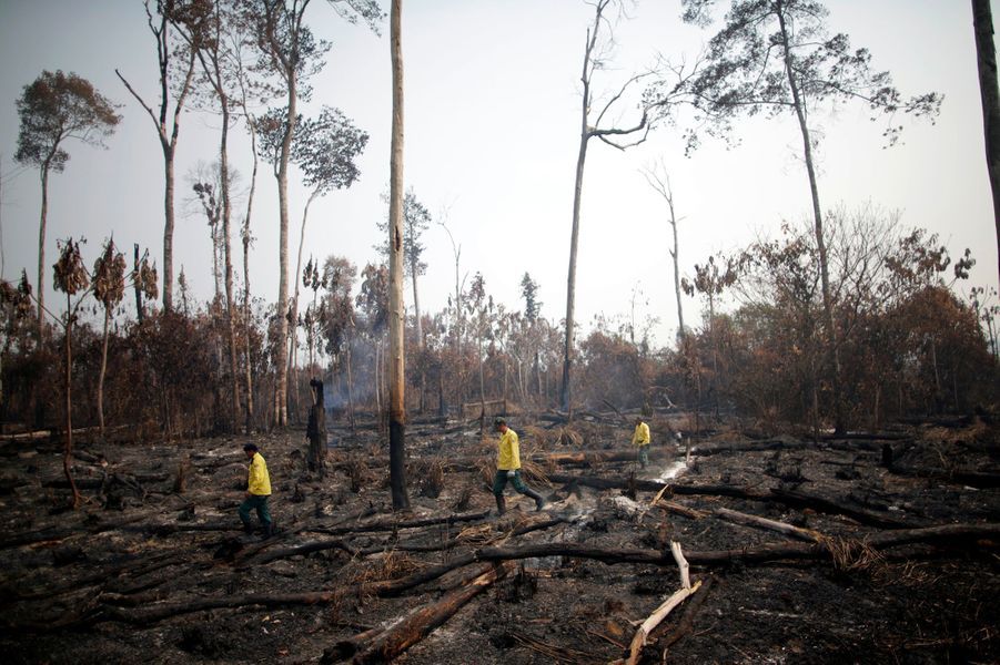 Au cœur des incendies qui ravagent la forêt amazonienne