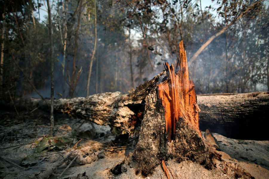 Au cœur des incendies qui ravagent la forêt amazonienne