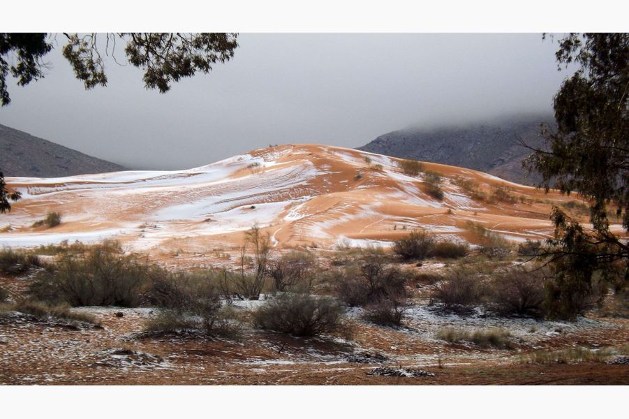 Pour la première fois depuis 37 ans, il a neigé au Sahara