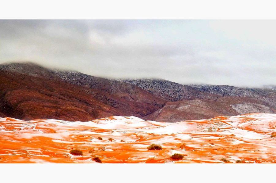 Pour la première fois depuis 37 ans, il a neigé au Sahara