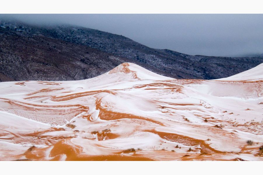 Pour la première fois depuis 37 ans, il a neigé au Sahara