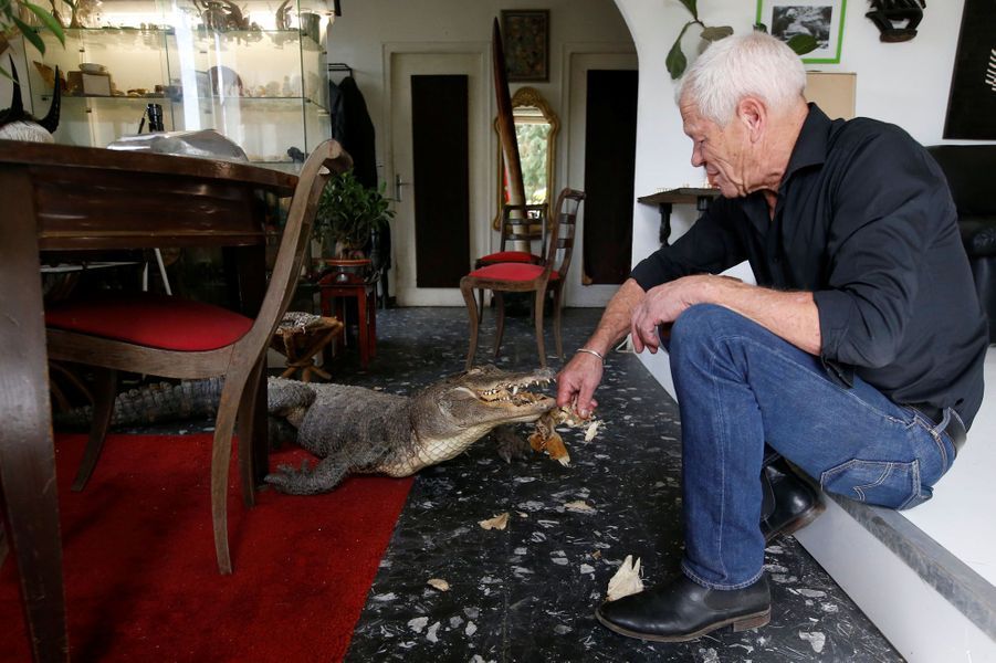 Philippe Gillet, l'homme qui vivait au milieu des reptiles