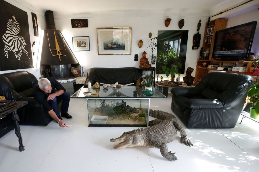 Philippe Gillet, l'homme qui vivait au milieu des reptiles