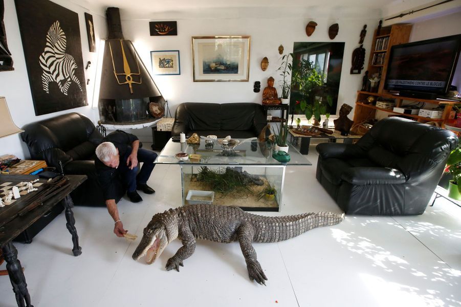 Philippe Gillet, l'homme qui vivait au milieu des reptiles