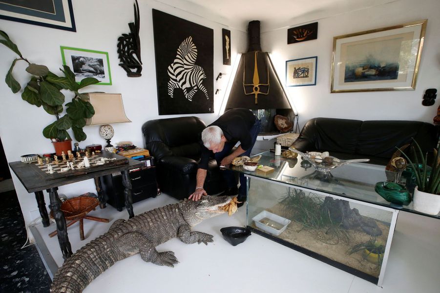 Philippe Gillet, l'homme qui vivait au milieu des reptiles