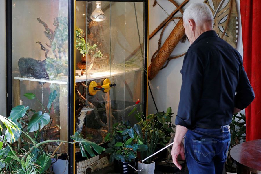 Philippe Gillet, l'homme qui vivait au milieu des reptiles