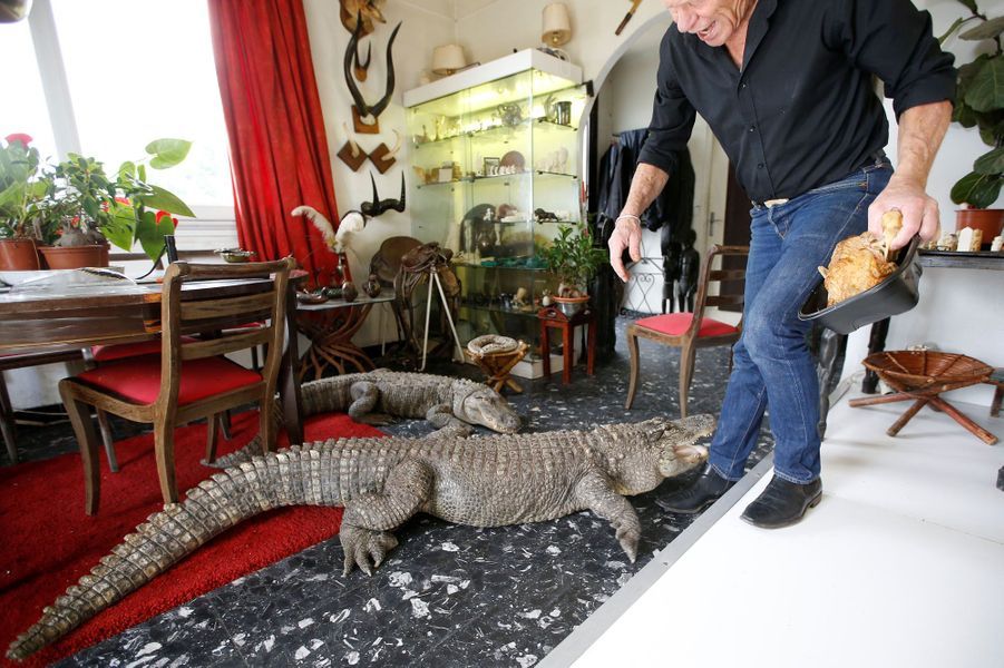 Philippe Gillet, l'homme qui vivait au milieu des reptiles