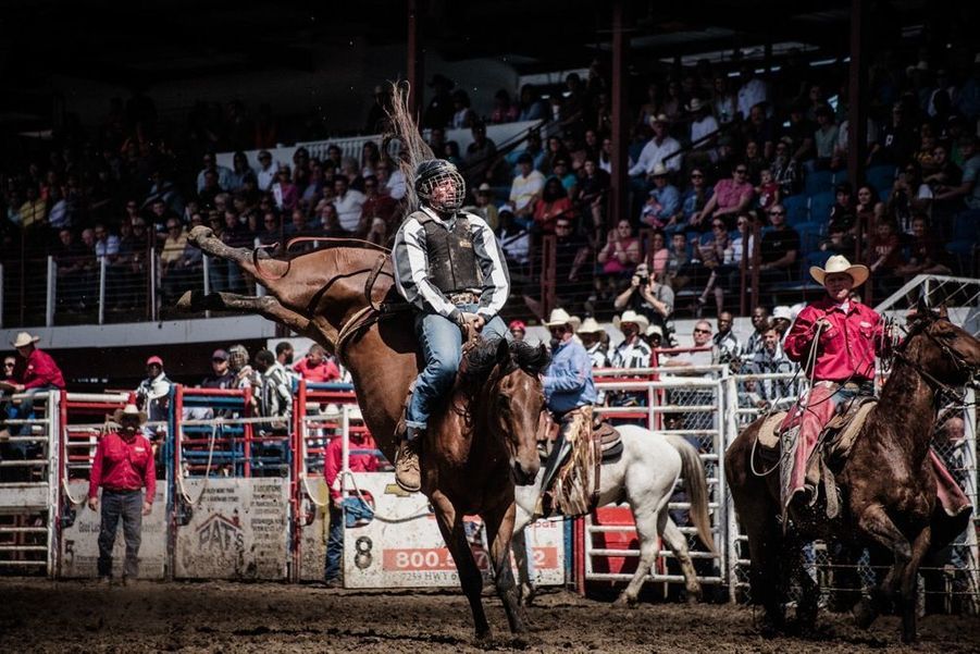 Au pénitencier d'Angola - Le rodéo "le plus sauvage du Sud"