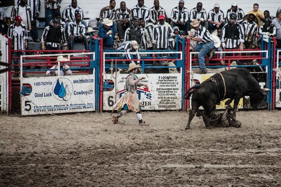 Au pénitencier d'Angola - Le rodéo "le plus sauvage du Sud"