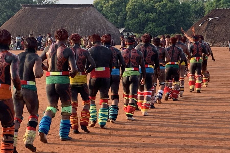 Ayahuasca, l'homme d'affaire Alexandre Allard raconte son "trip" au Brésil