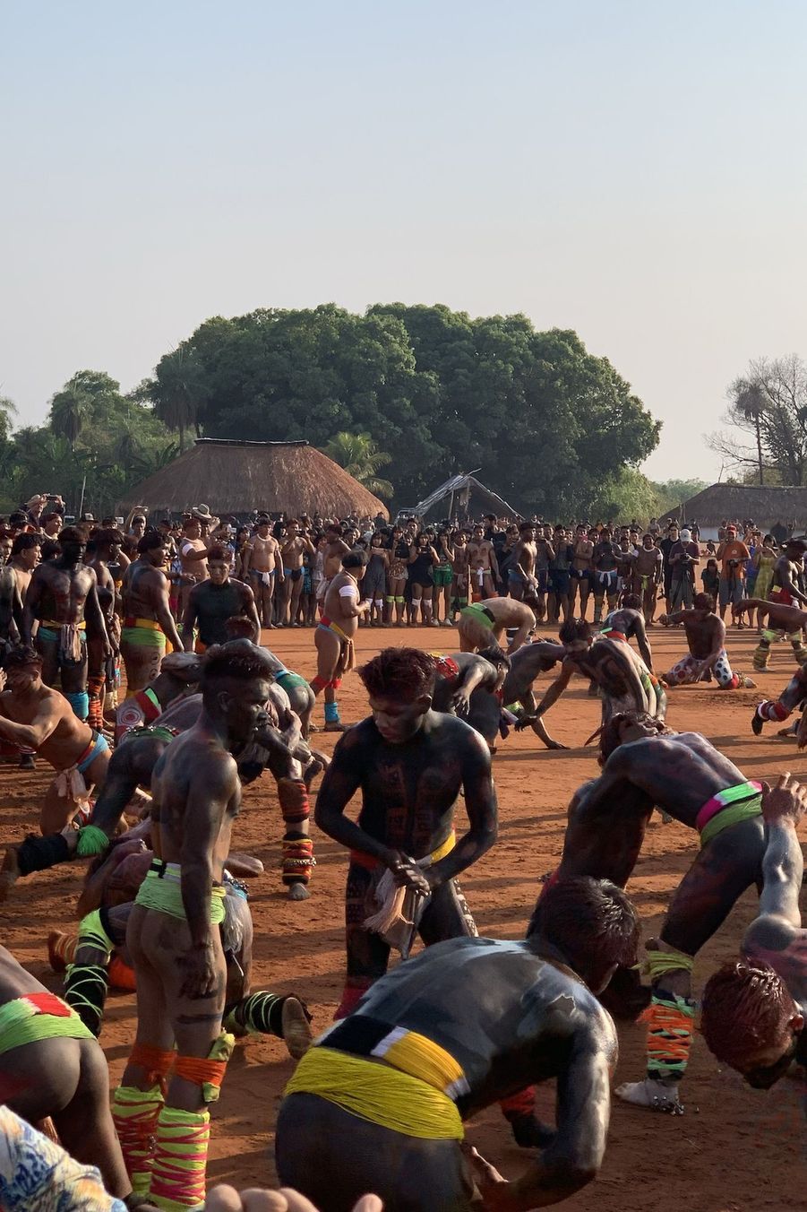 Ayahuasca, l'homme d'affaire Alexandre Allard raconte son "trip" au Brésil