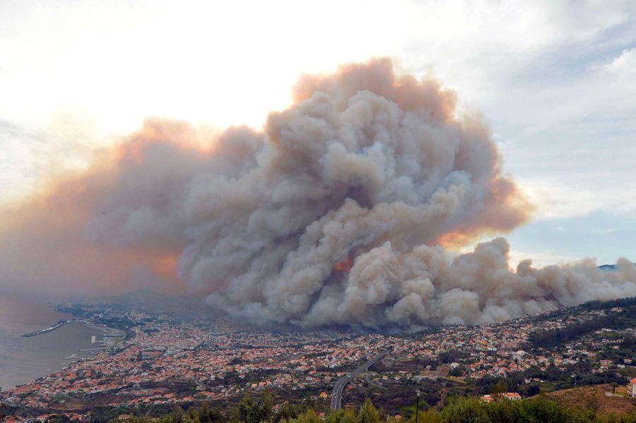 Portugal : L’île de Madère ravagée par les flammes