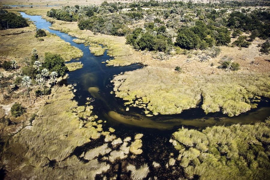 Destination Voyage - Botswana, l'eden sauvage